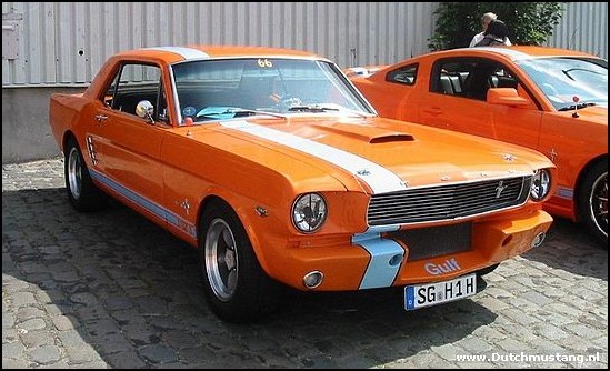 Dutch Mustangs