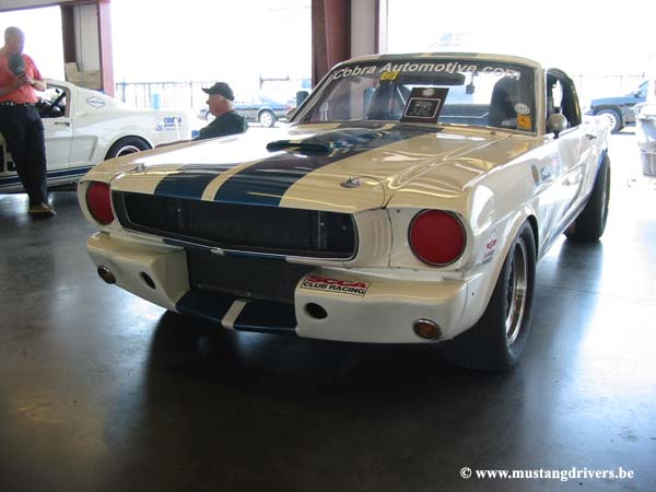 Shelby R-Models